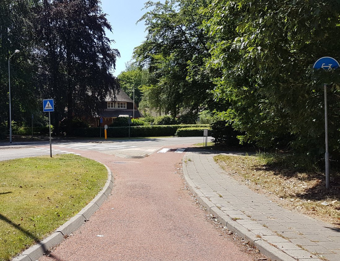 Waardevolle bomen opnieuw in kaart in Ermelo - Ermelosezaken.nl